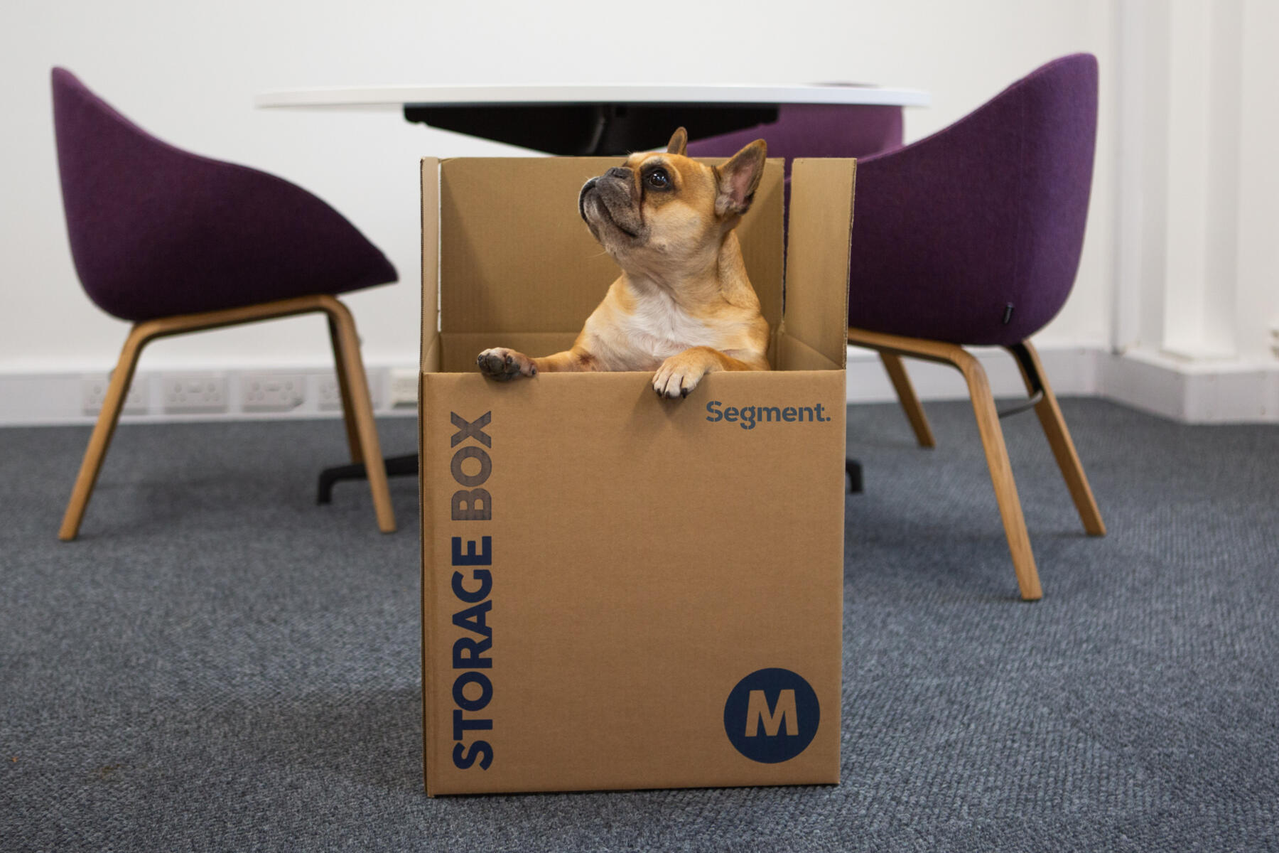 Domestic Self Storage in Melksham | Segment Storage