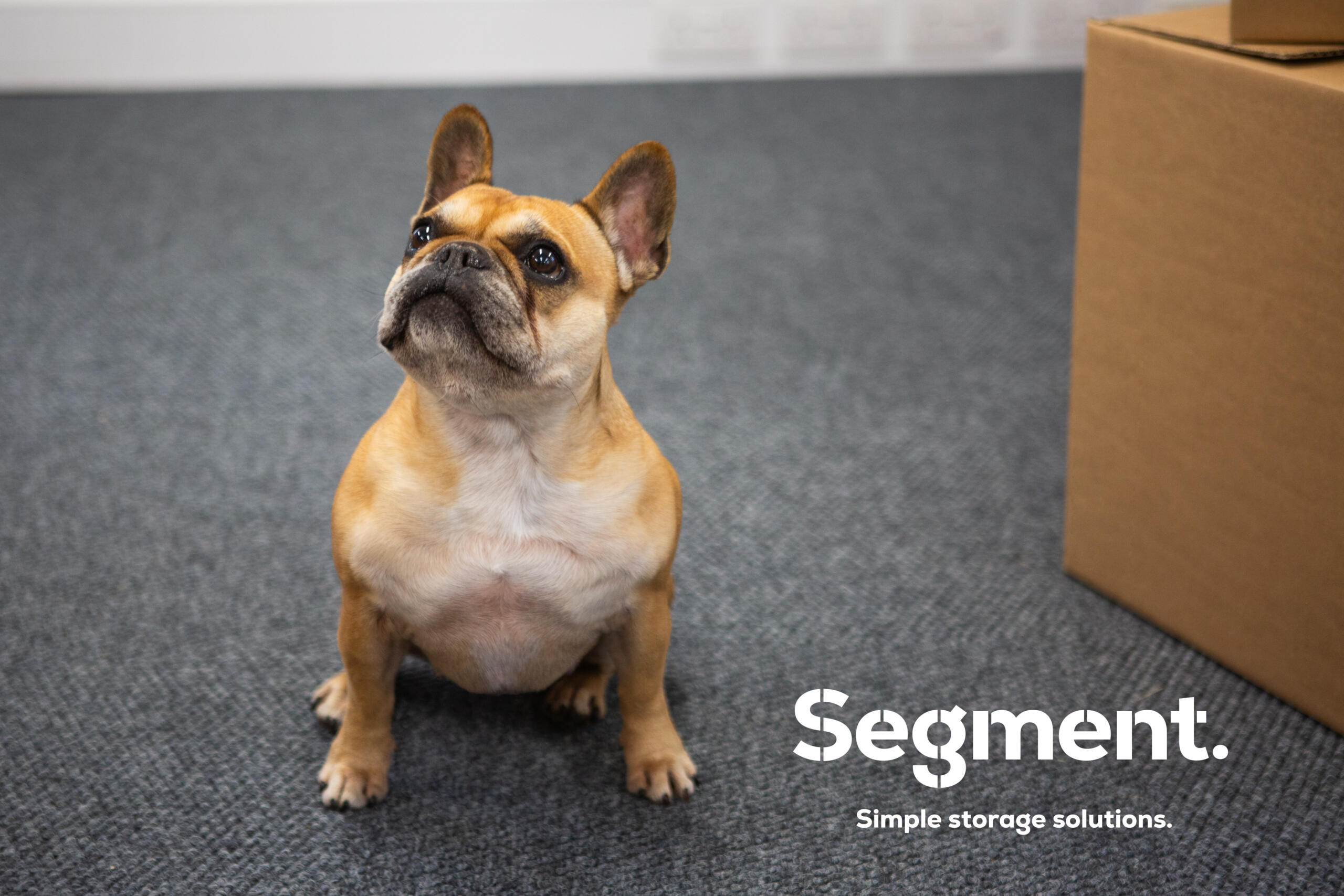 About Us | Segment Storage